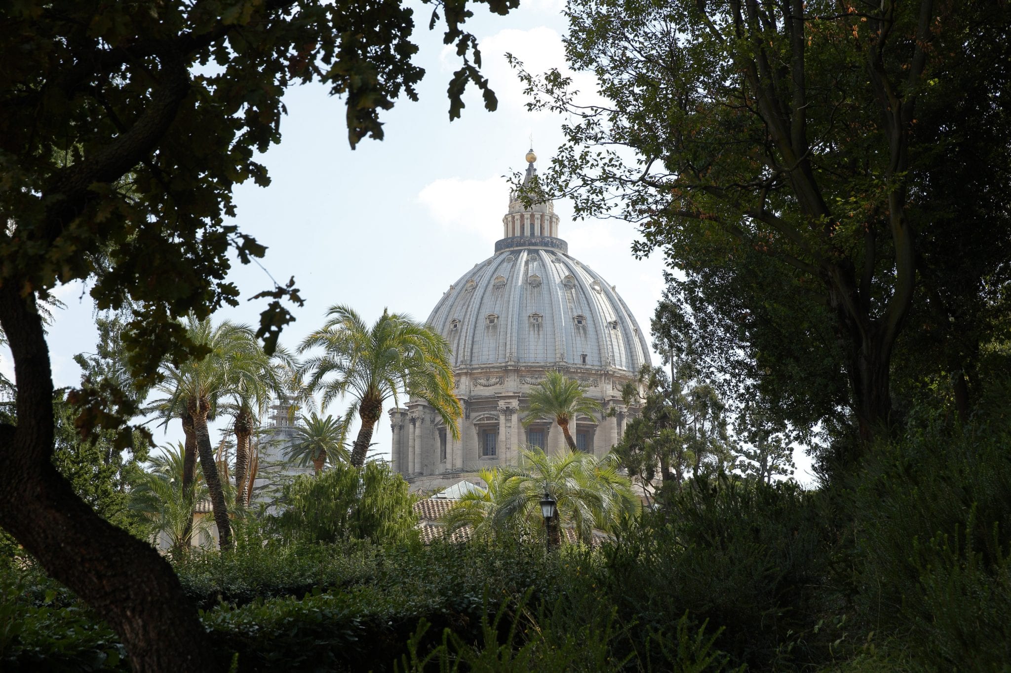 Grant general absolution to the faithful